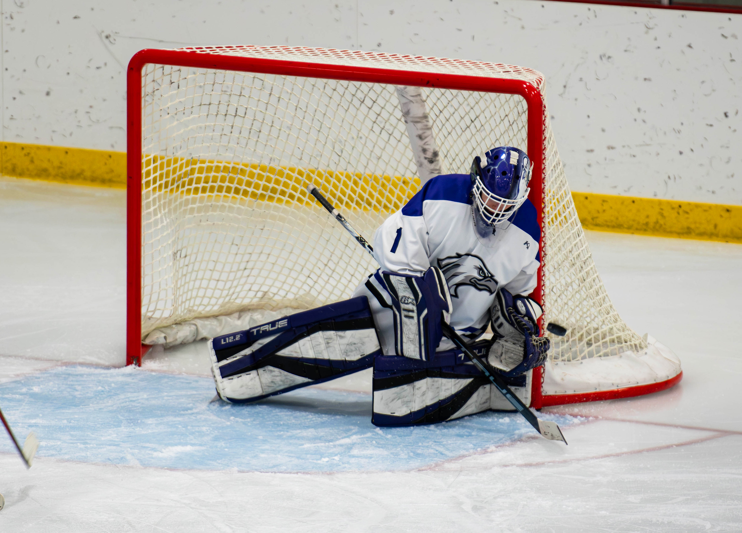 Olson, Eagles earn win over Trojans | News, Sports, Jobs - The Journal